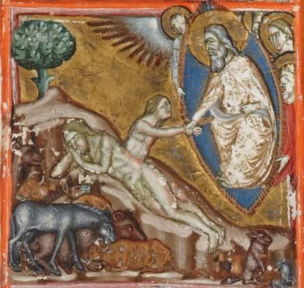 PARROQUIA SAGRADA FAMILIA: LA COSTILLA DE ADAN