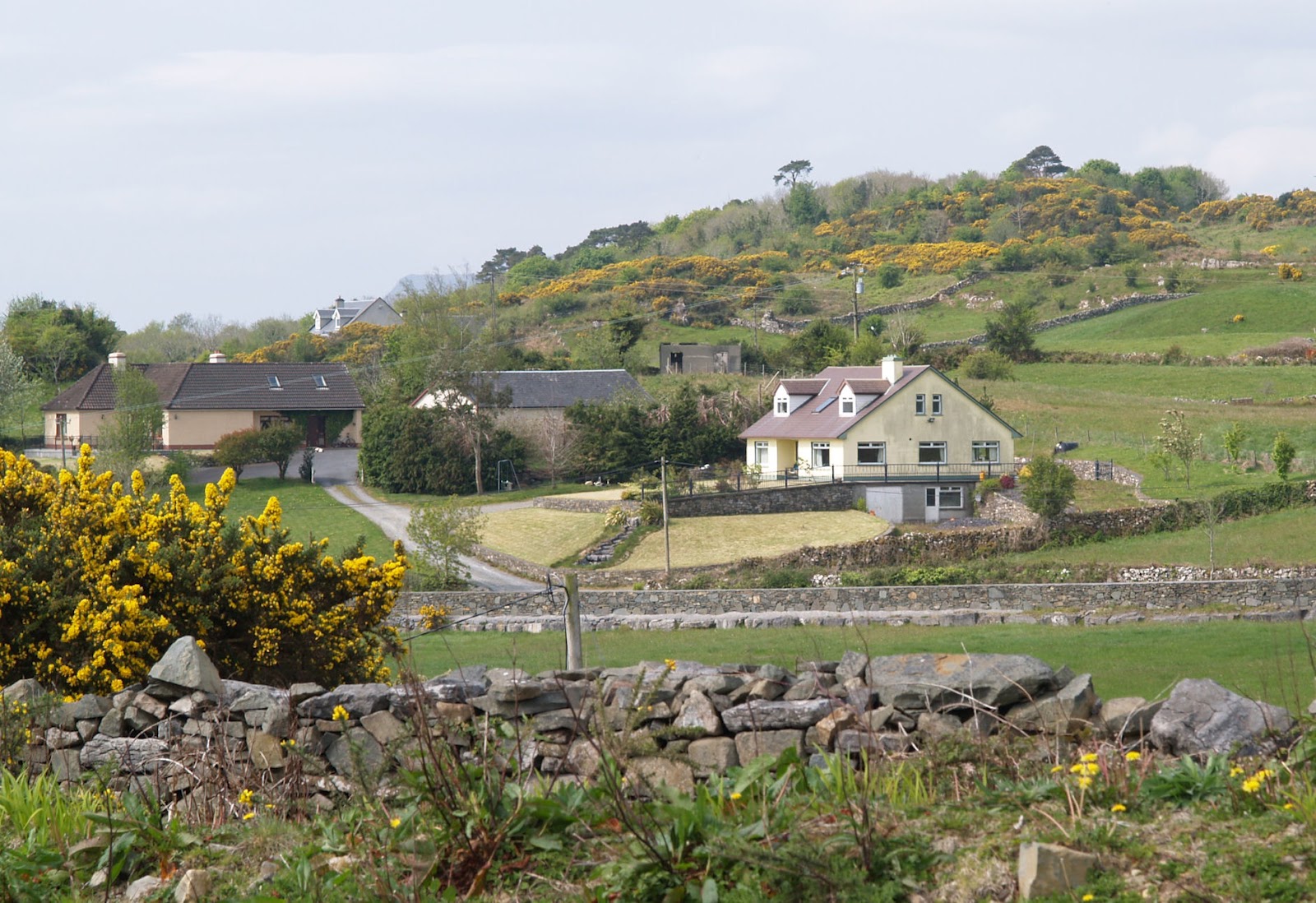 Springtime in Ireland