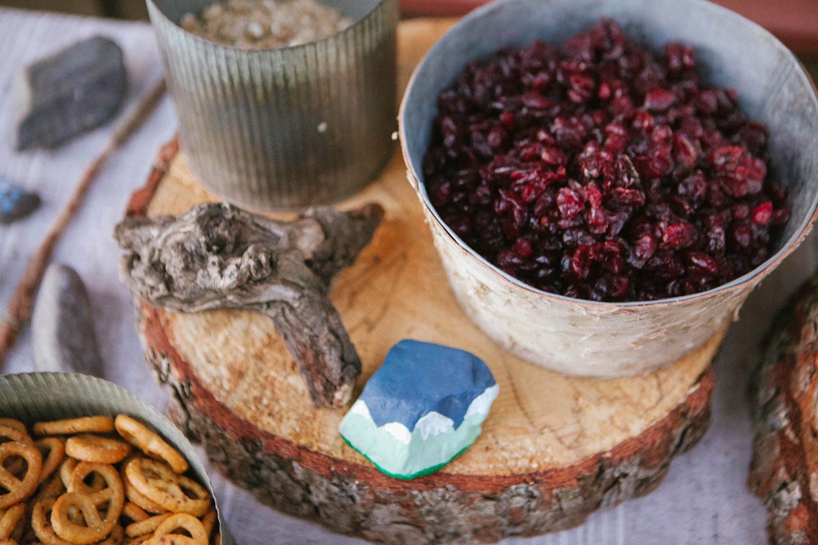 cue the confetti: little explorer // trail mix bar