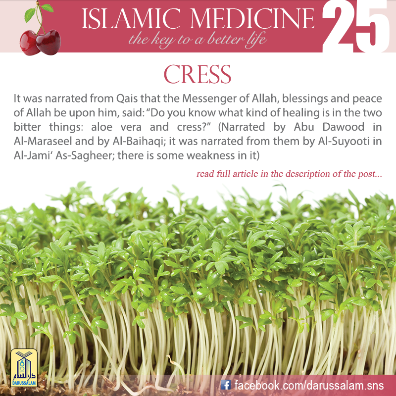 Cress ( Islamic Medicine ) - Best Right Way