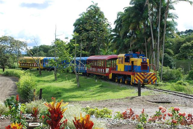 SABOR MANA TOUR: GRAN PASEO TOUR A EL PARQUE DEL CAFÉ