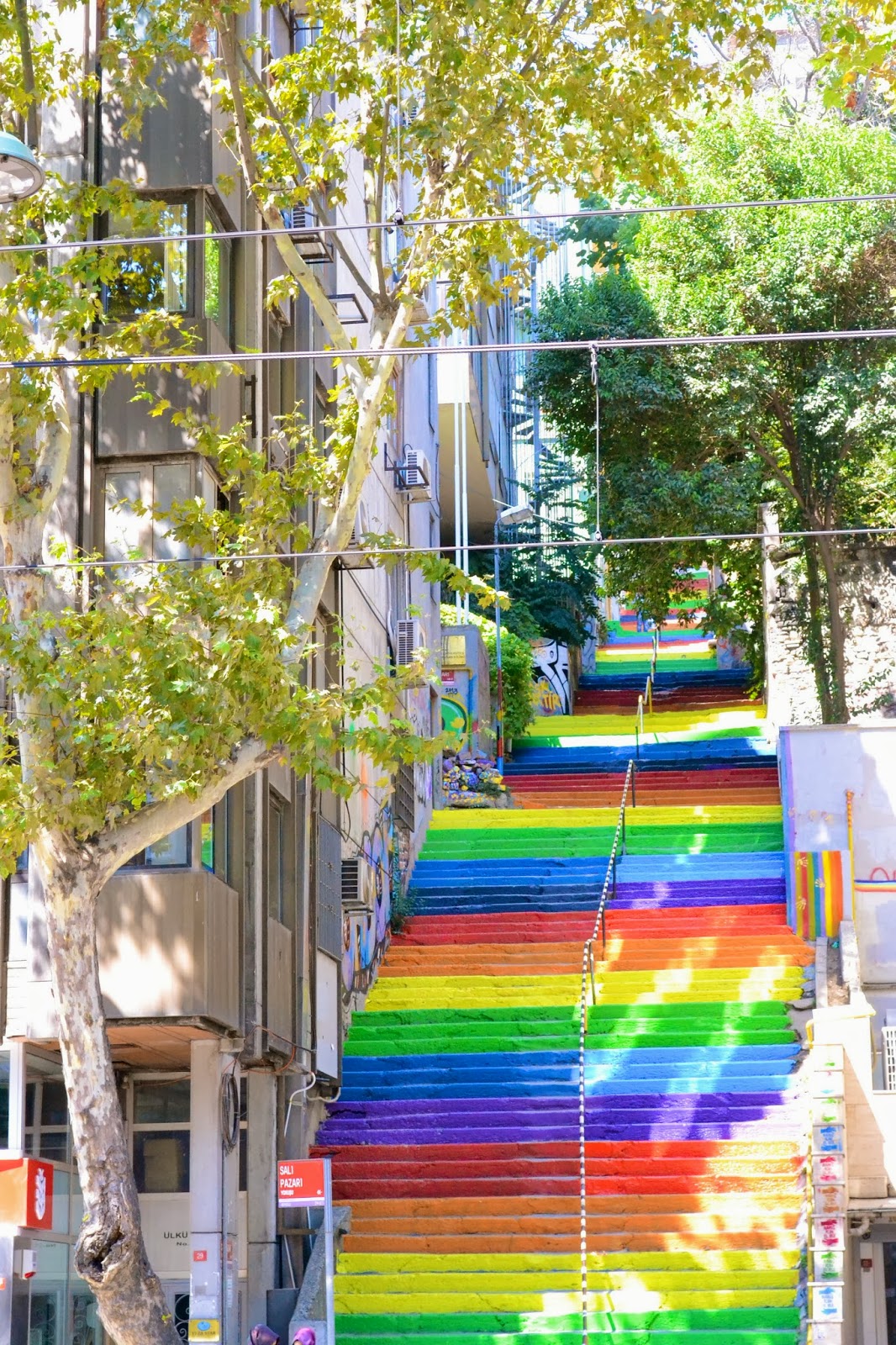 The Cat's Journal | Turkey