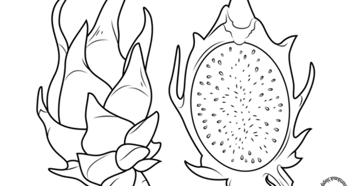 Buah Naga: Seru Gak Sih, Seru! Manfaatnya Bikin Kaget