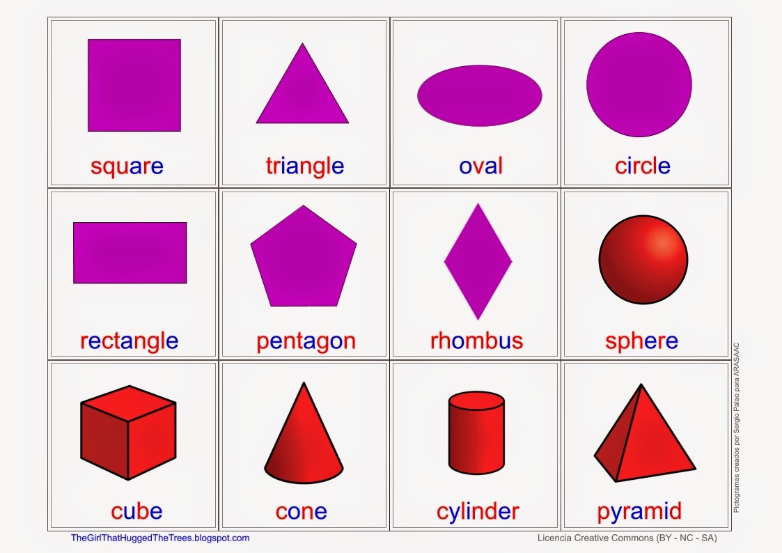 Different Types Of Pec Shapes at Joshua Calyute blog