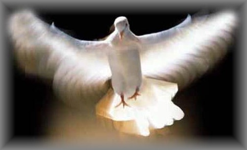 Veni Creator Spiritus: God The Holy Ghost part 8.