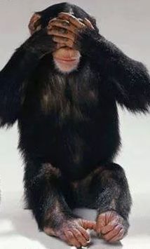 Cómo hablarte: Yo no desciendo del mono