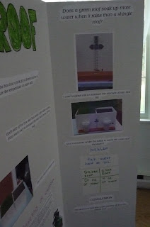 The Henry Family Adventures: Science Fair Project