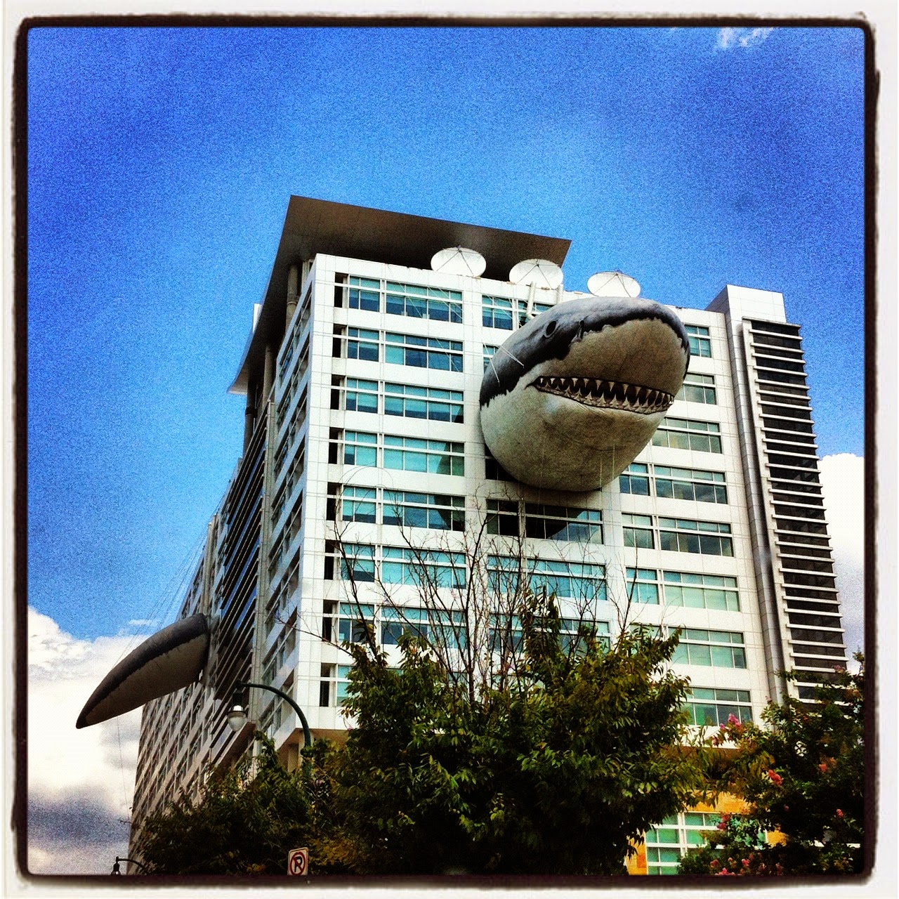 Swimmers Among the Rocks