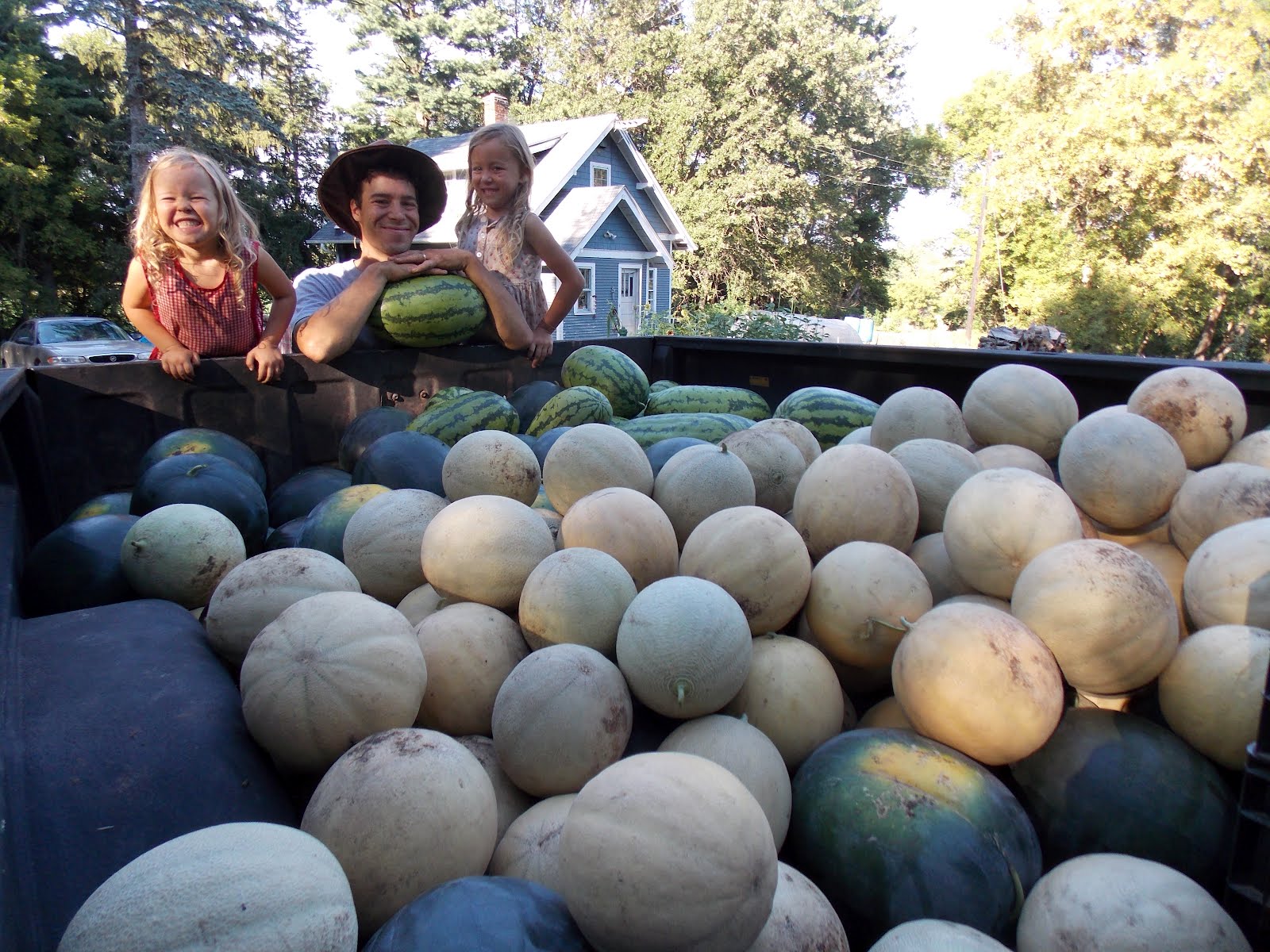 Little Flower Farm: The Great Melon Harvest of 2012