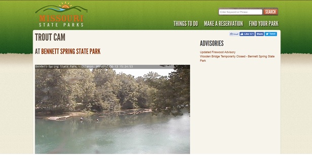 The Show Me Fly Guy: Bennett Spring Trout Cam