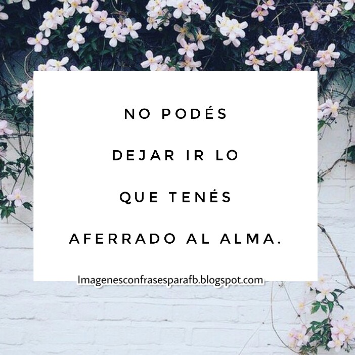Imagenes Bonitas y Pensamientos Positivos: Frases sobre dejar ir