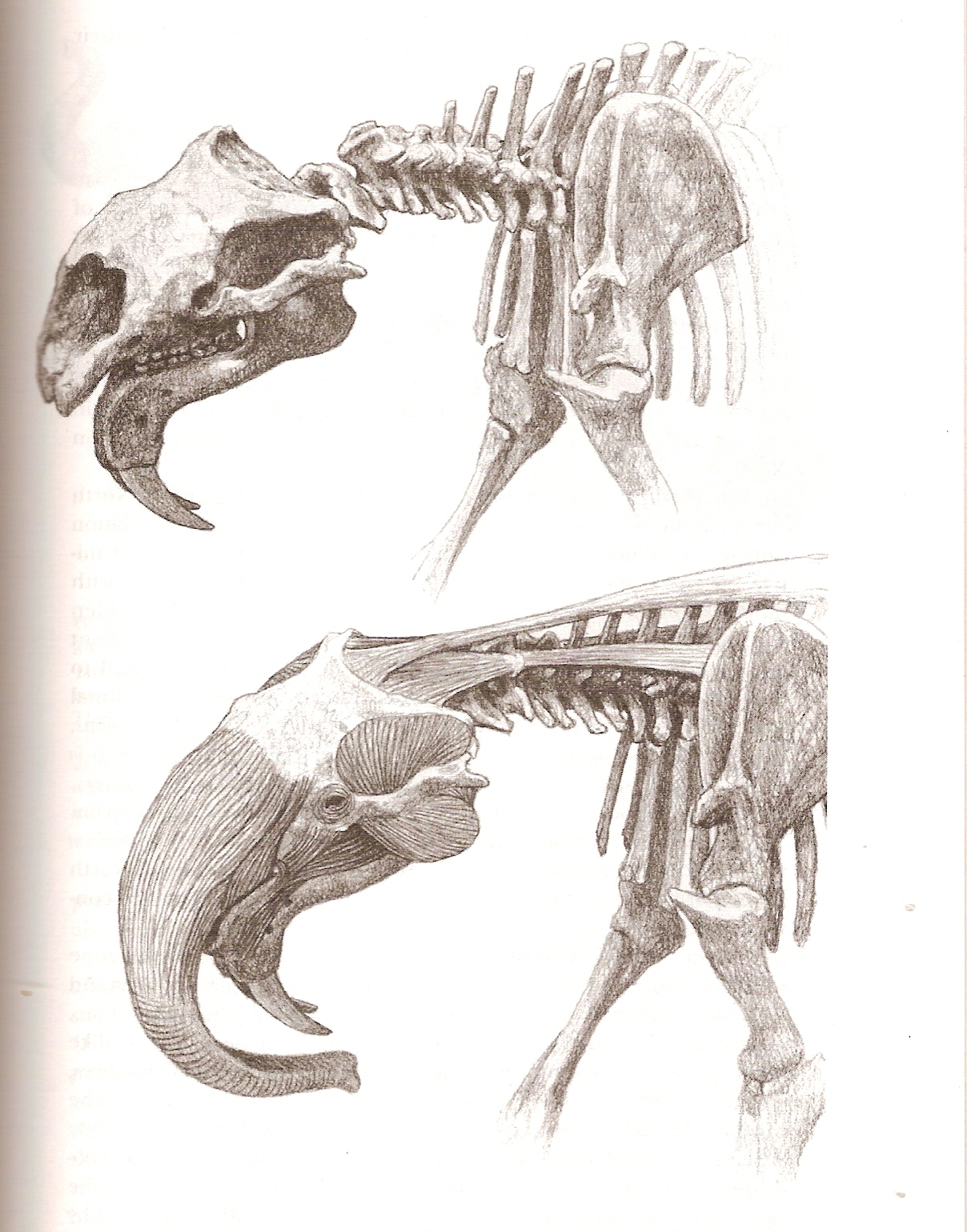 El rinconcito del pequeño naturalista: El rincón de los documentales