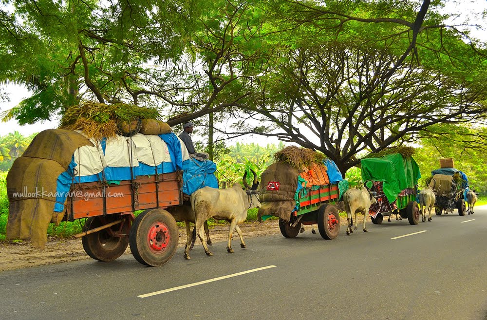 Meghatheertham: ജീവിതയാത്ര....