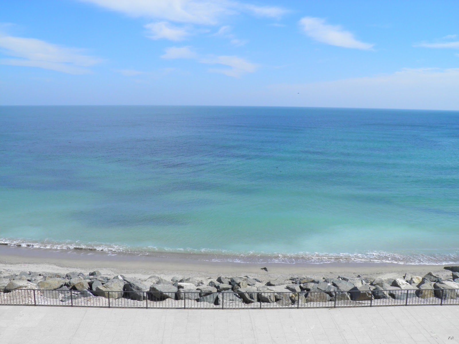 PASARI DIN ROMANIA: CODROS DE MUNTE (2), Phoenicurus ochruros