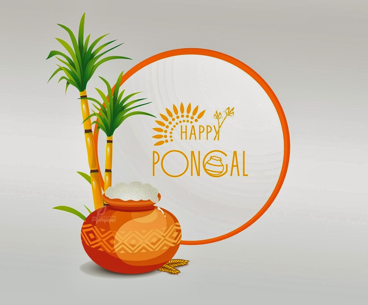 Pongal Greetings Cards