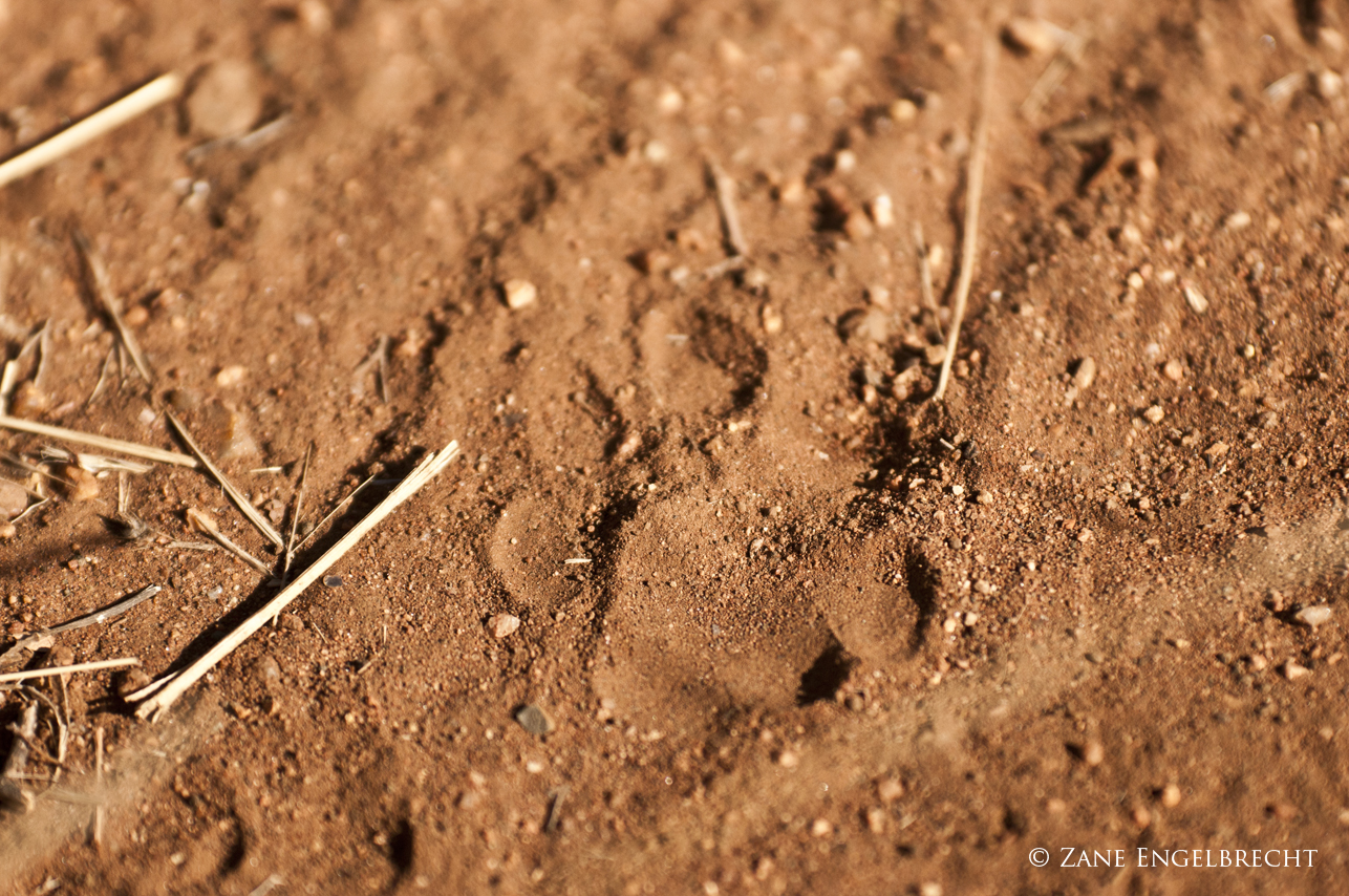 Photography Workshops: June Photography Course with Tom Svensson