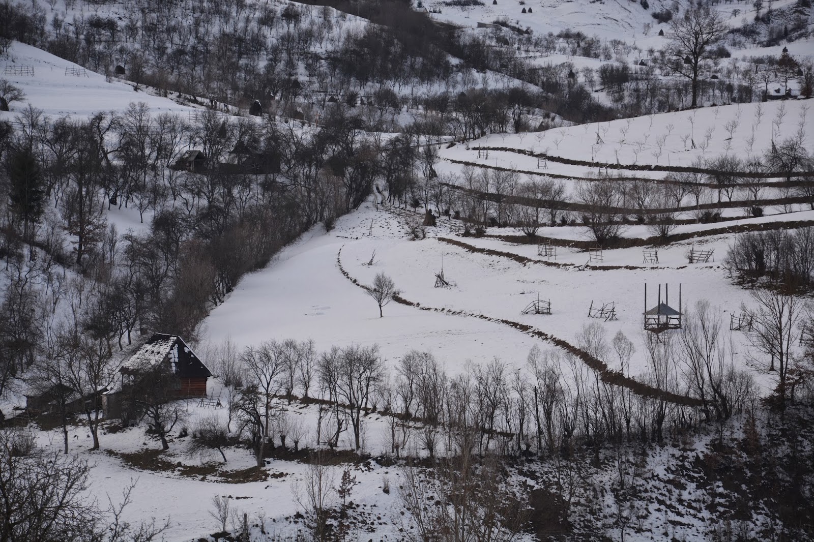 TUDOR PHOTO BLOG: Iarna la Poienile Izei,Winter at Poienile Izei ...
