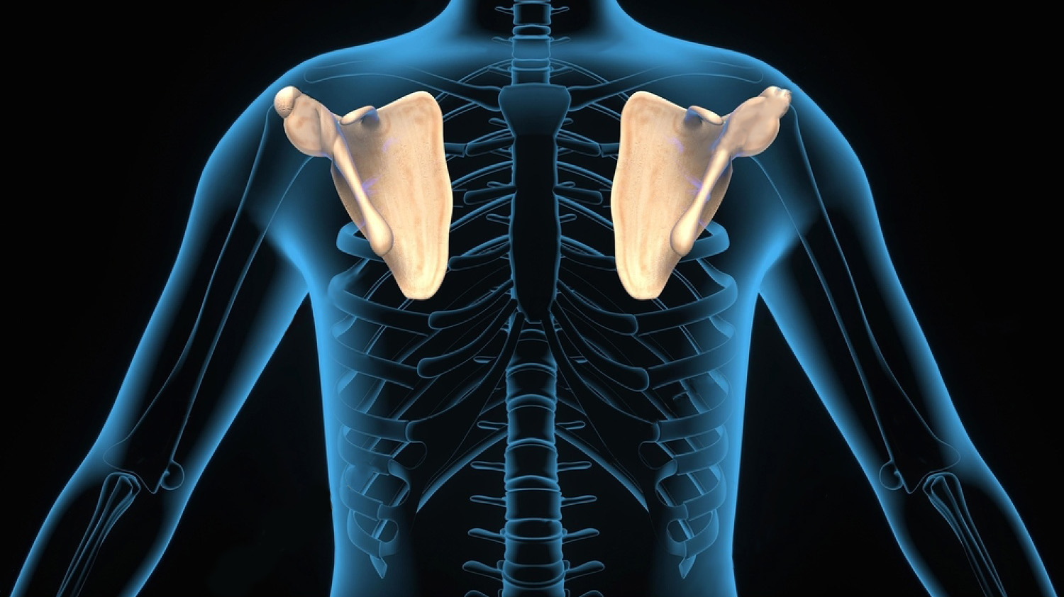 Scientific Outcomes: Work & Leisure Back Pain