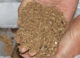 Pakan Penggemukan Sapi Potong ~ TERNAKLOPEDIA