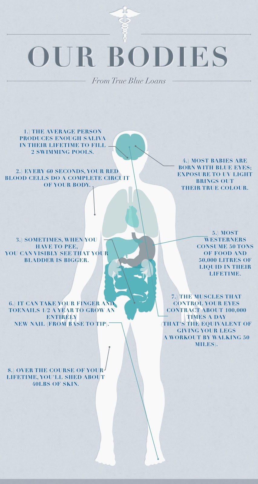 8 Interesting Facts About Our Bodies - Infographics Free Submission