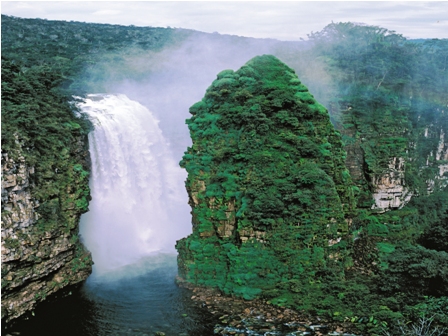 documentos imperdibles: lal extraordinaria riqueza del TIPNIS está ...