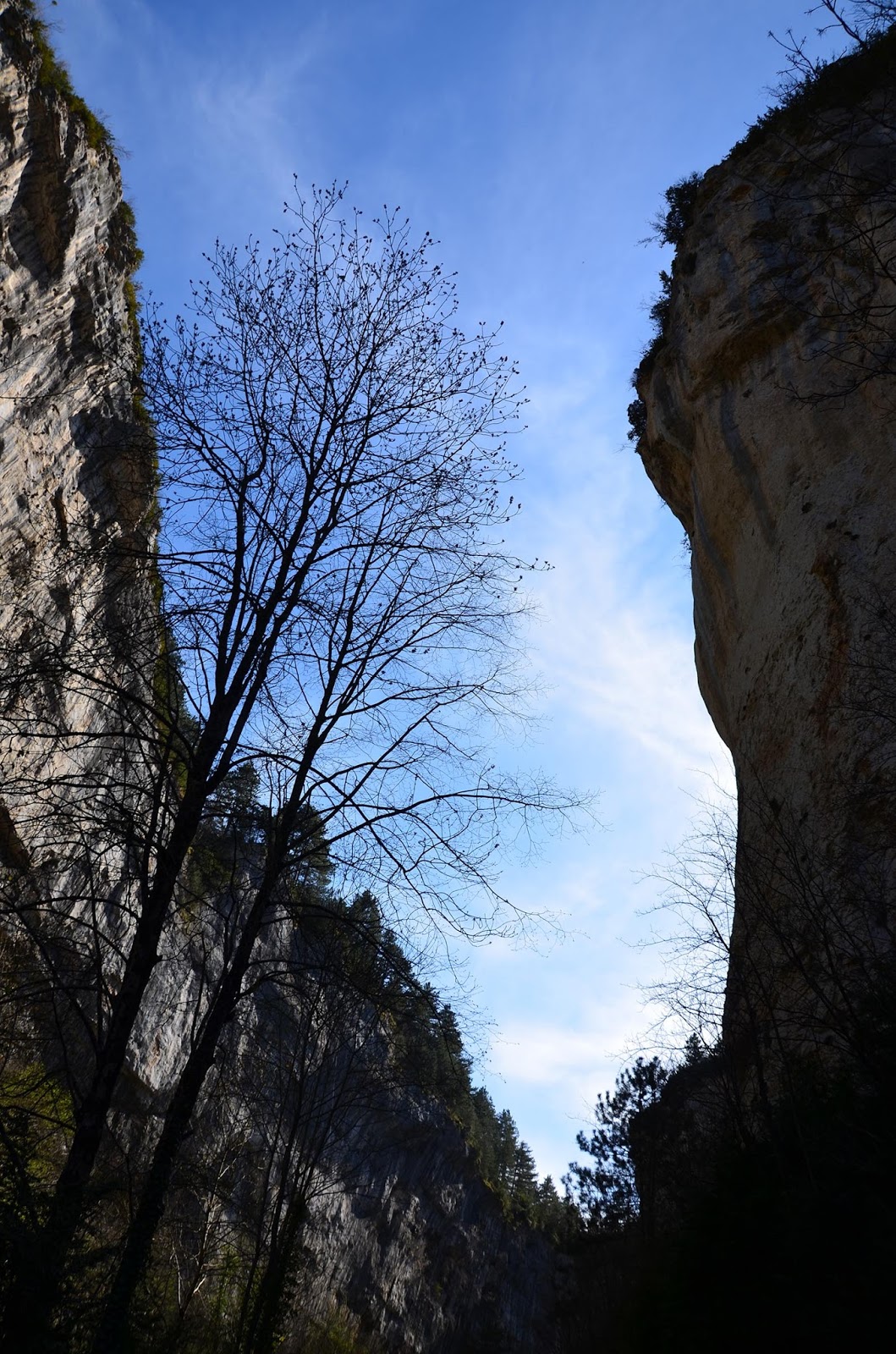DROMESCAPE - Randonnées en Drôme et Escapades photographiques: Le ...