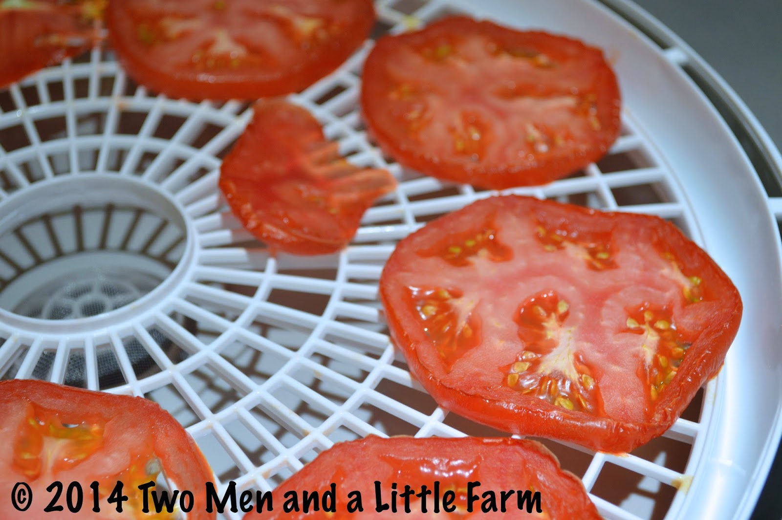 Two Men and a Little Farm: DRYING TOMATOES IN THE DEHYDRATOR