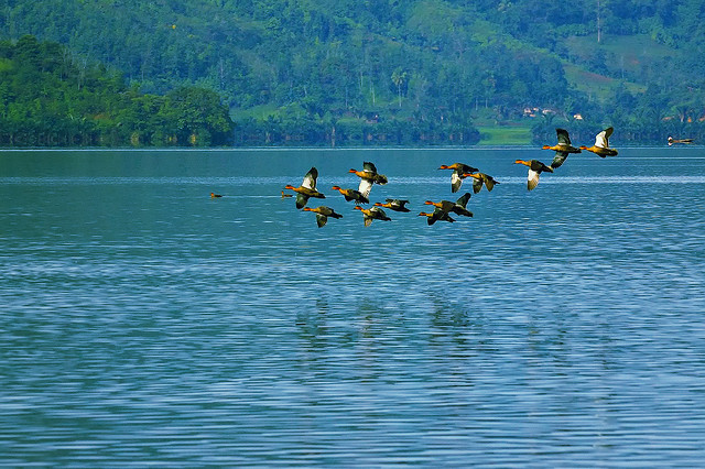 Lakewood, Zamboanga del Sur: Laag Zambo Sur - "Lakewood"