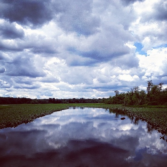 Doar Online: S-a innorat