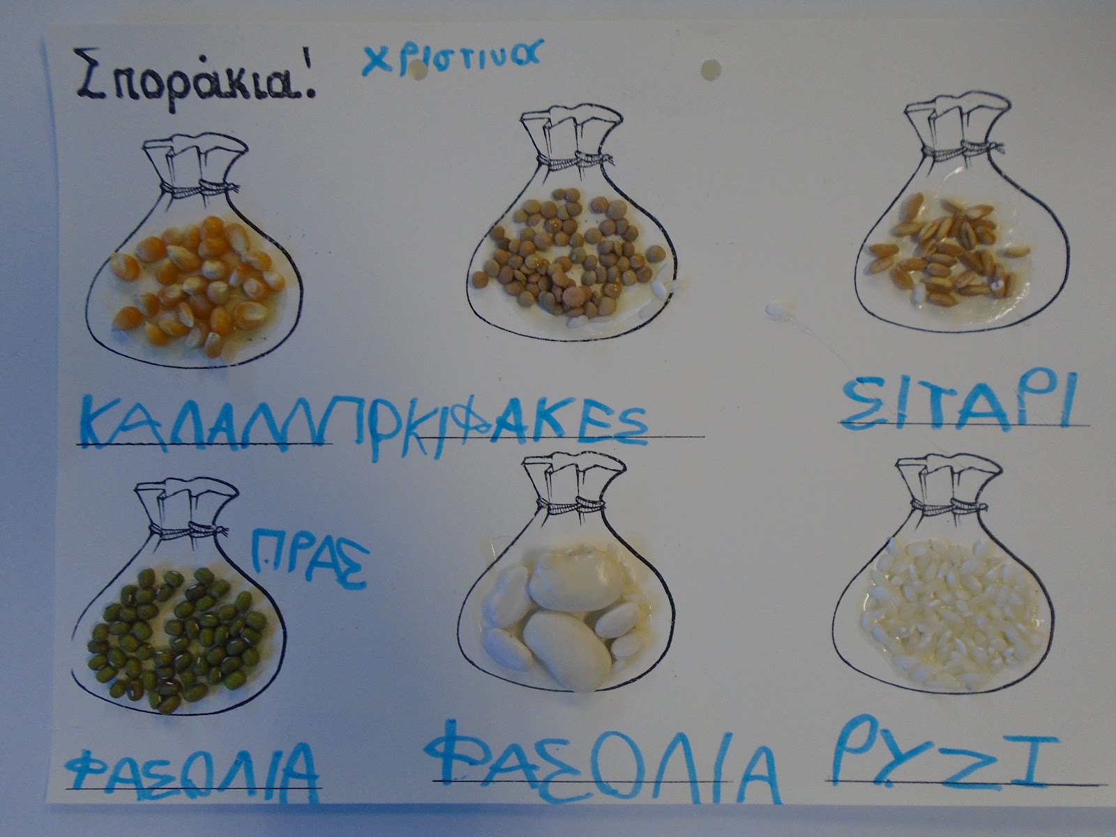 5 ΝΗΠΙΑΓΩΓΕΙΟ ΚΑΛΑΜΑΤΑΣ : ΔΡΑΣΤΗΡΙΟΤΗΤΕΣ ΚΑΙ ΚΑΤΑΣΚΕΥΕΣ ΓΙΑ ΤΗΝ ΣΠΟΡΑ