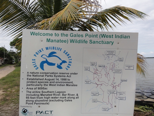Belize Walkabout: Visit to Gales Point Manatee