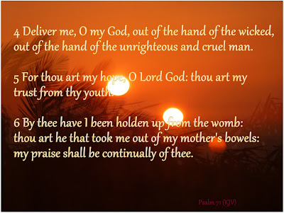 Red Pill Diaries: Psalm 71 (KJV)