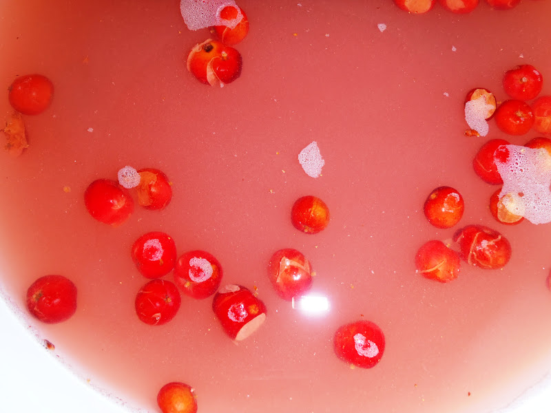 The Urbane Forager: Ruby Red Crab Apples