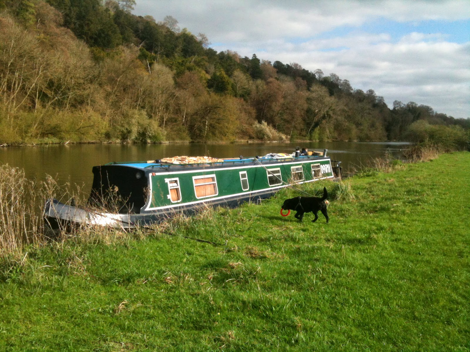 Badger Sandwiches: Beale Park