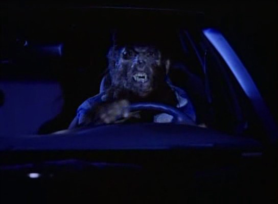 Direct to Video Connoisseur Images: Werewolf (1996)