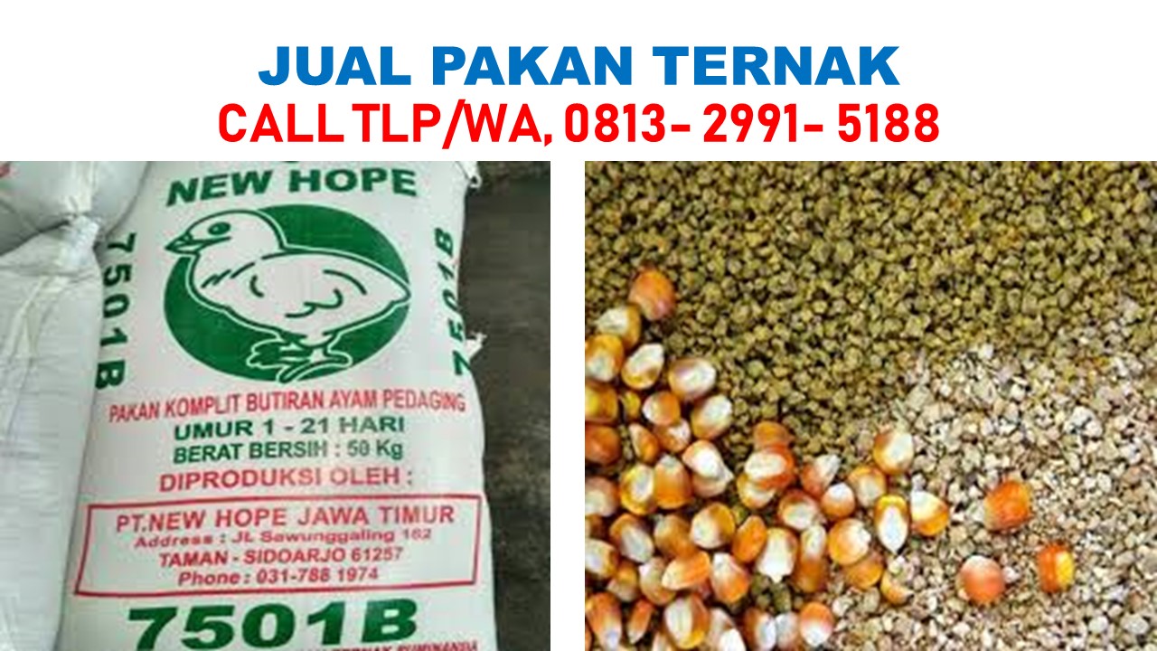 Pakan Ayam Pedaging Joper-Tlp/sms/WA : 0813-2991-5188