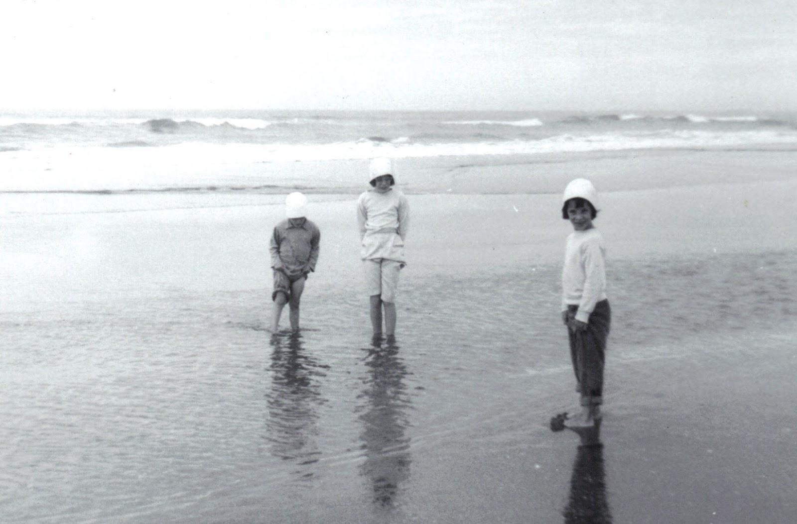 Wadleigh-Brown-Plymale-Bixby: fun at the beach or pool