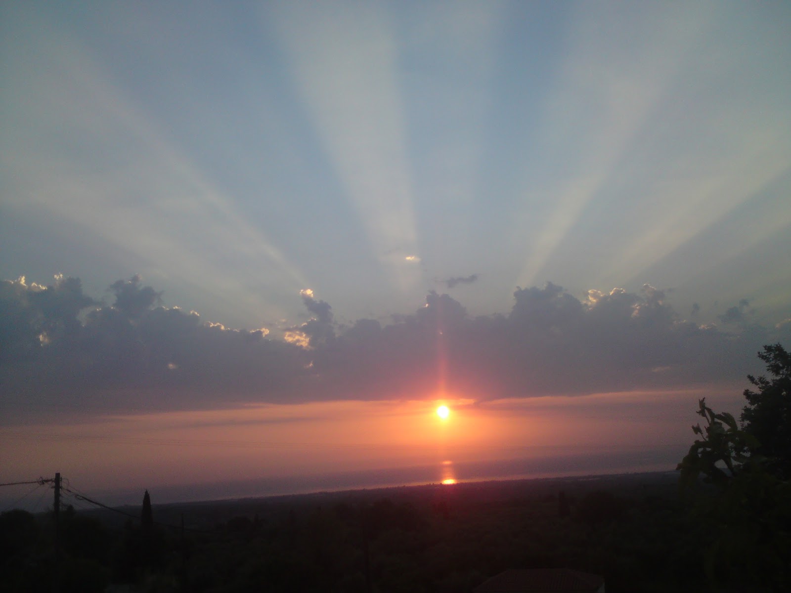 ΠΛΑΤΗ (ΚΑΝΑΛΟΥΠΟΥ): 06/19/13