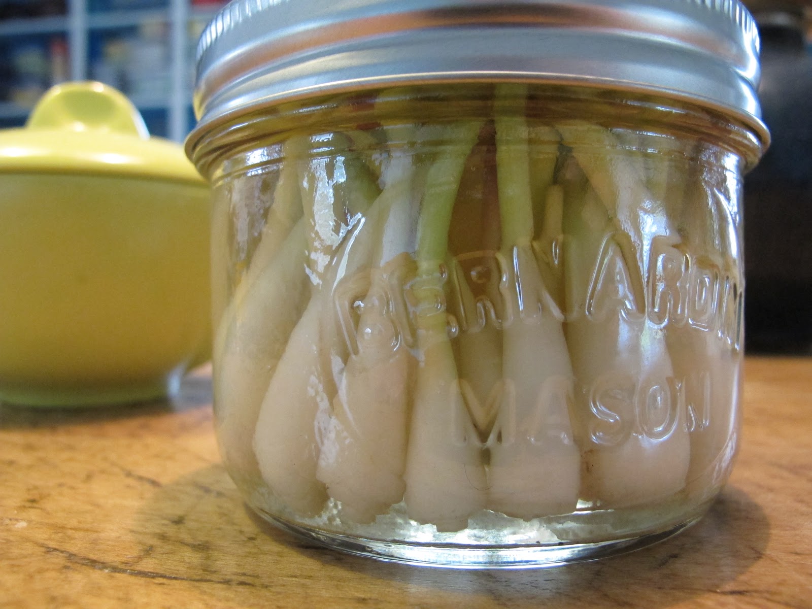 Katie's Kitchen Chronicles: Pickled Wild Leeks or Ramps