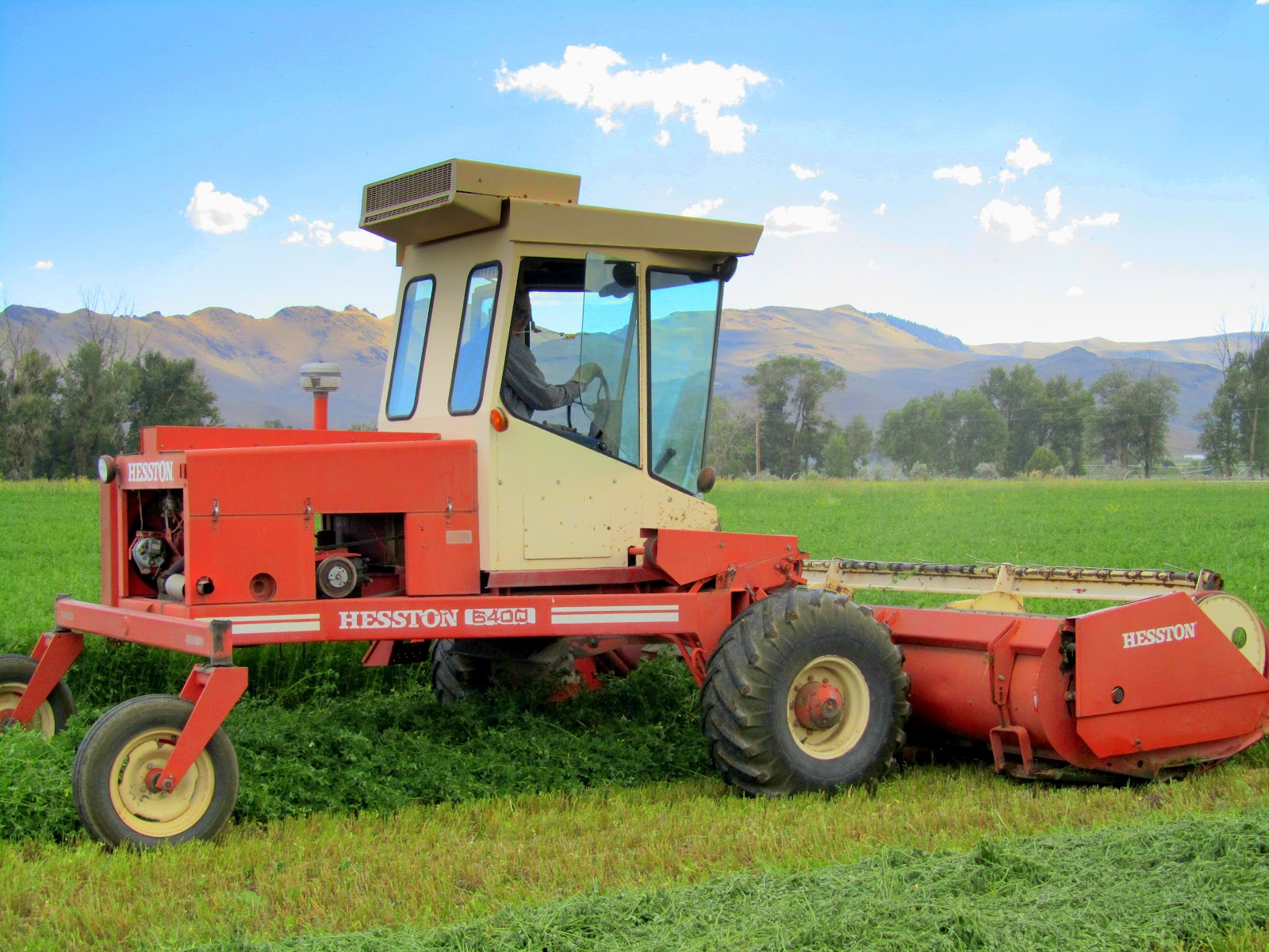Keeping Focused: Swathing Hay