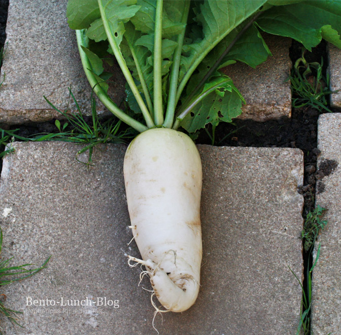 Bento Lunch Blog: April 2011