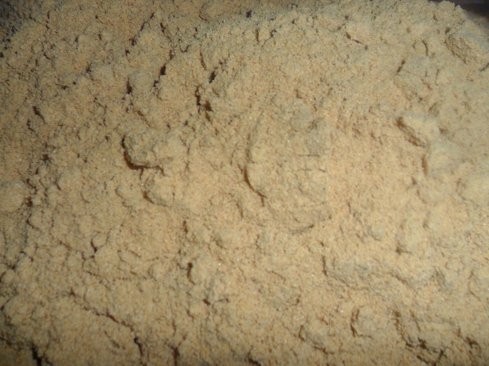 CANUTO: BATIDA de CAMOCA