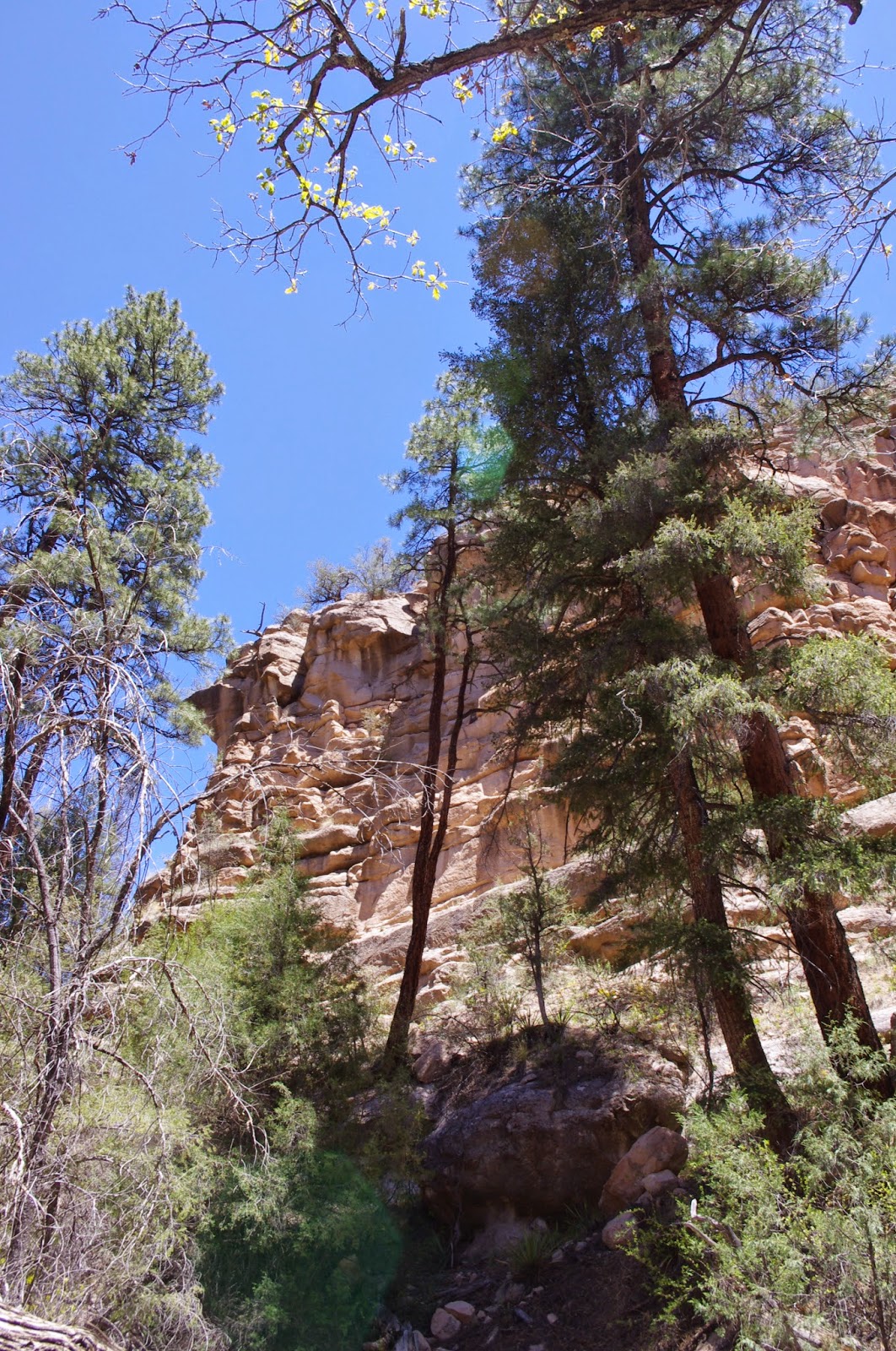 Southern New Mexico Explorer: Lake Roberts Slot Canyons (south side ...