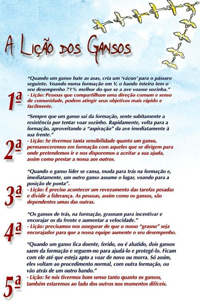 APRENDENDO A VIVER MELHOR: A lição dos gansos