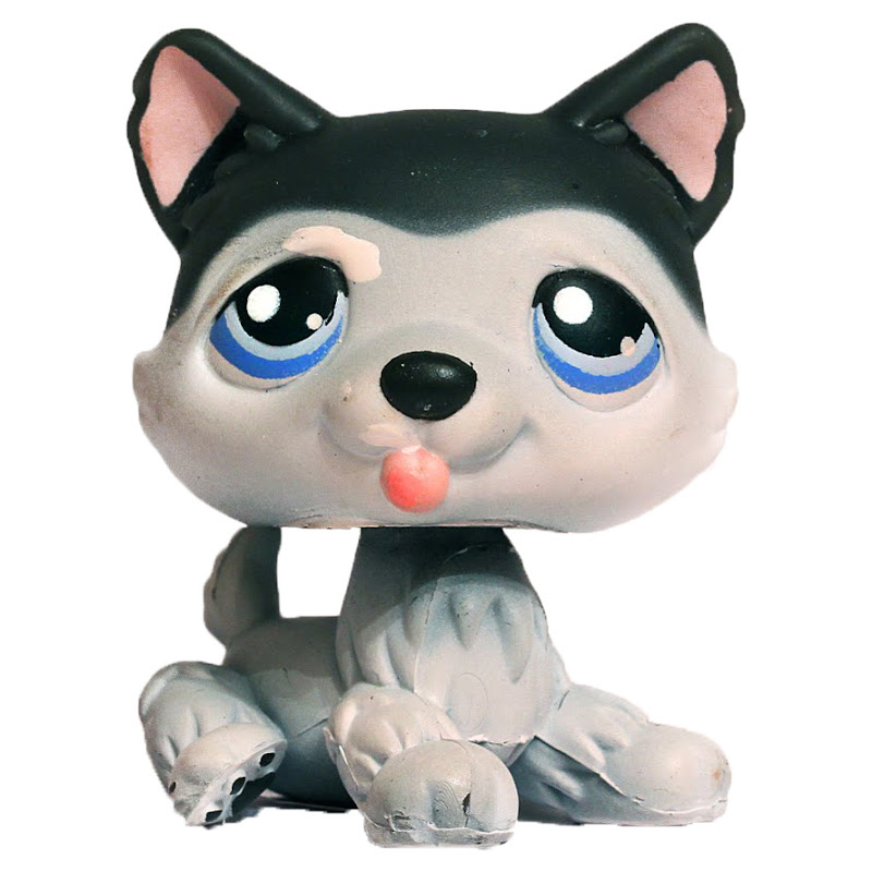 Littlest Pet Shop Portable Pets Husky (#210) Pet | LPS Merch