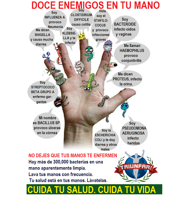 CLUBES DE CIENCIAS: BACTERIAS EN TU MANO