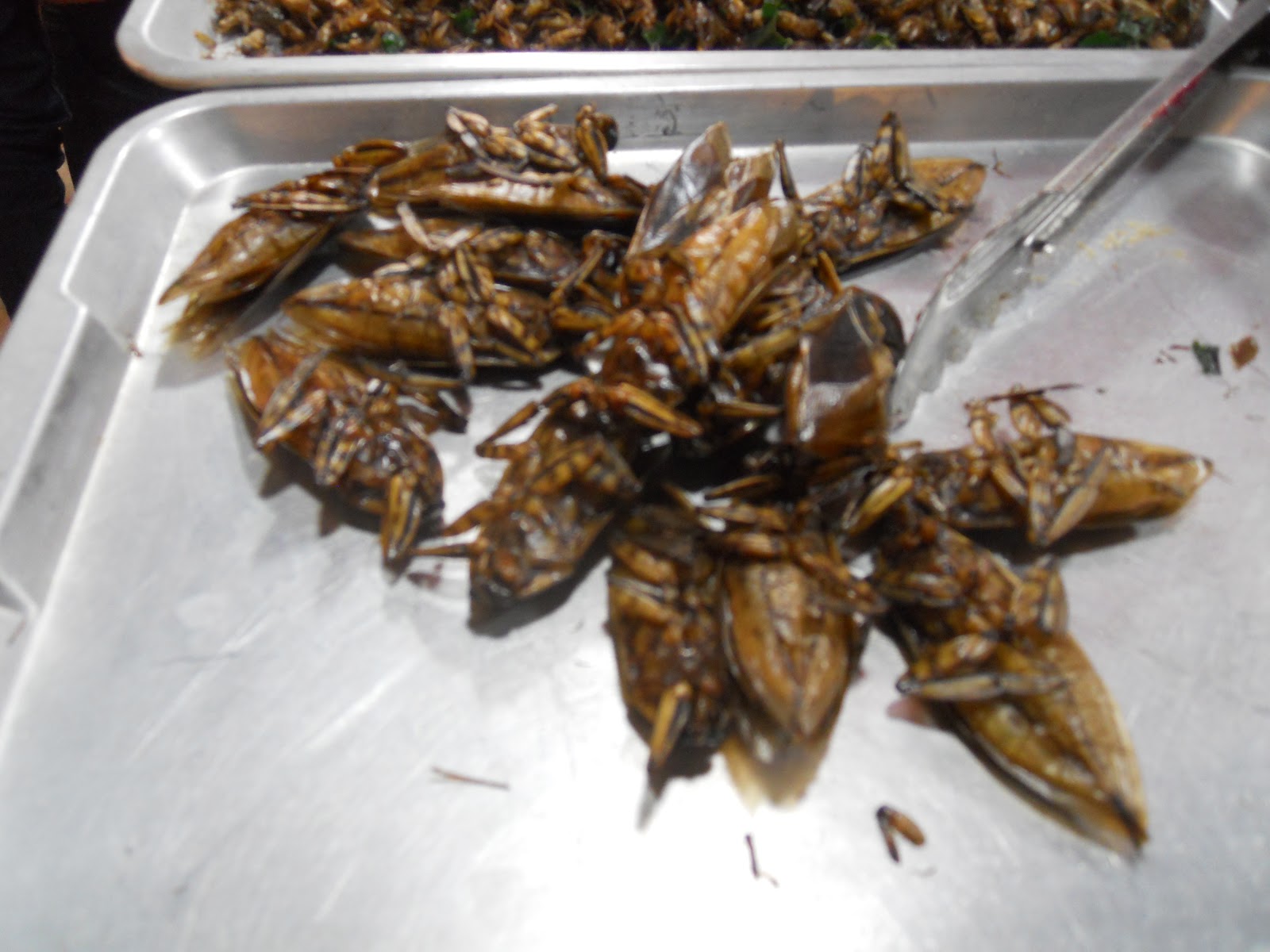 This Is Not Oregon House: One Night In Bangkok