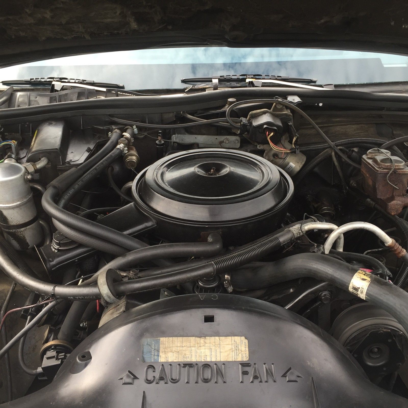 5k: Chuck Wagon: 1984 Chevrolet Caprice Wagon - DailyTurismo