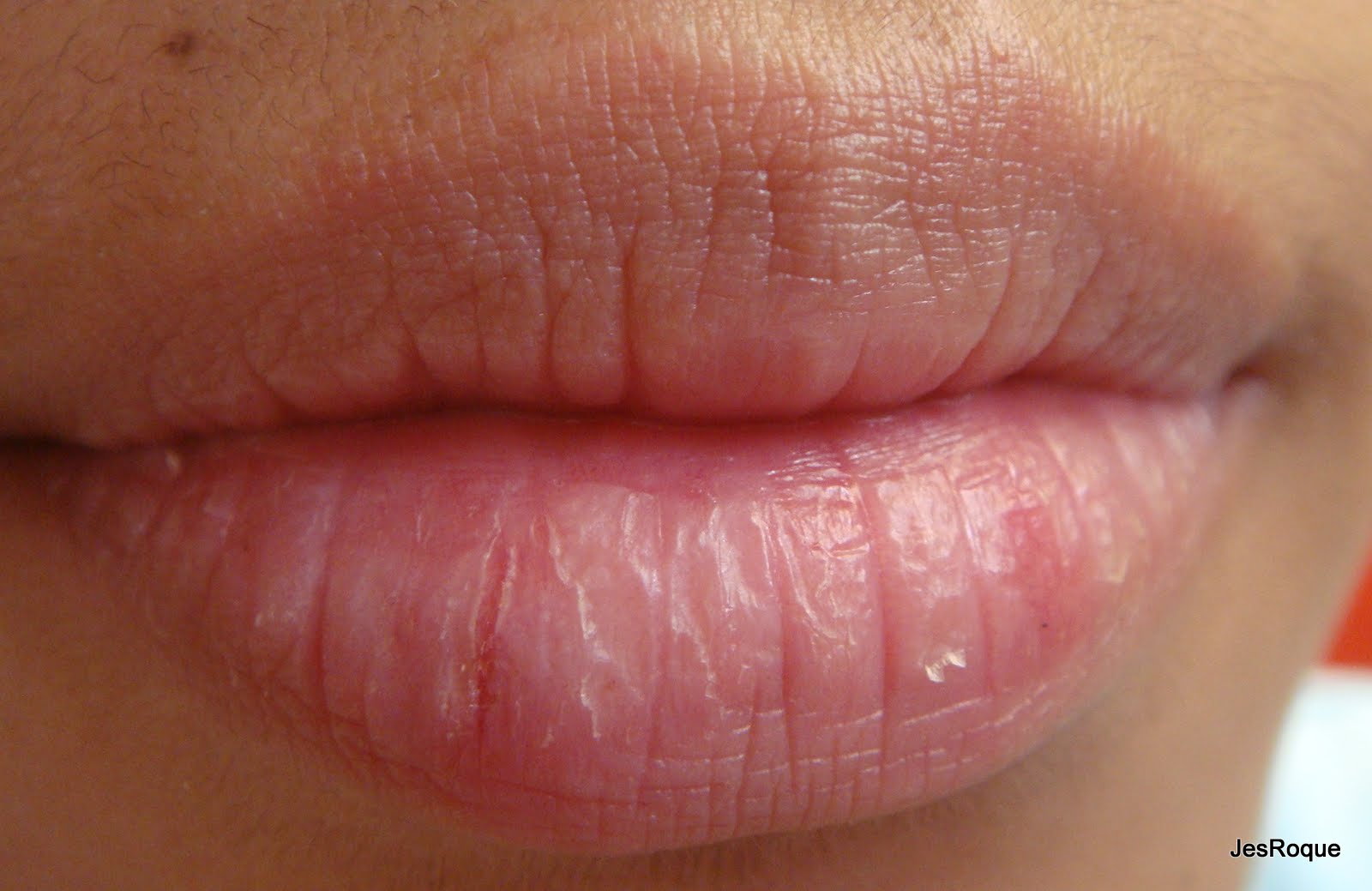 Review: [LIP] Smooth Color Bloom - Color Changing Lip Balm