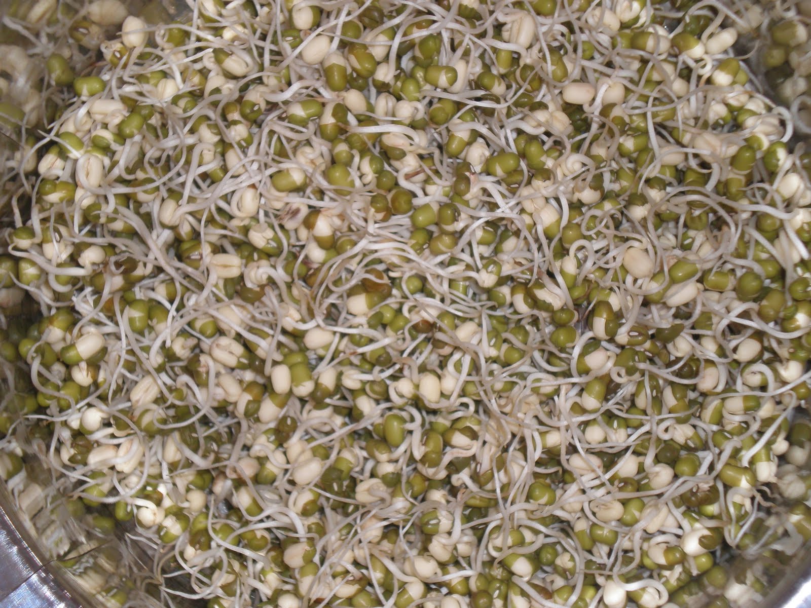 Beshana Indian Samayal: Moong Sprouts/Whole Green Gram Sprouts/Mulai Payaru